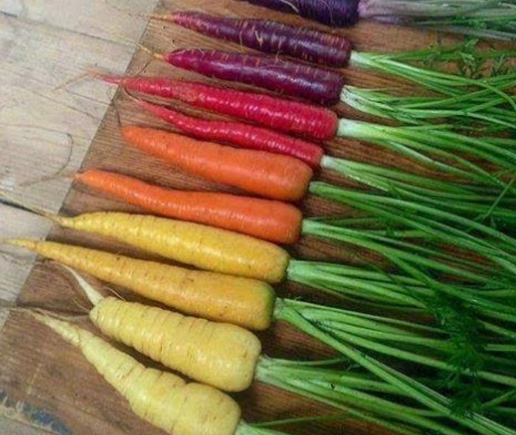 Sárgának hívjuk a répát, pedig nem is az